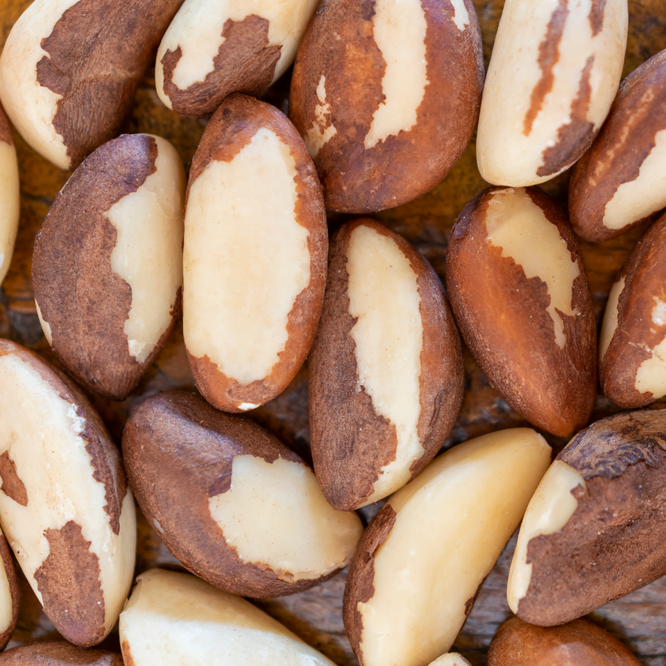 Brazil Nuts - KitchenSmith